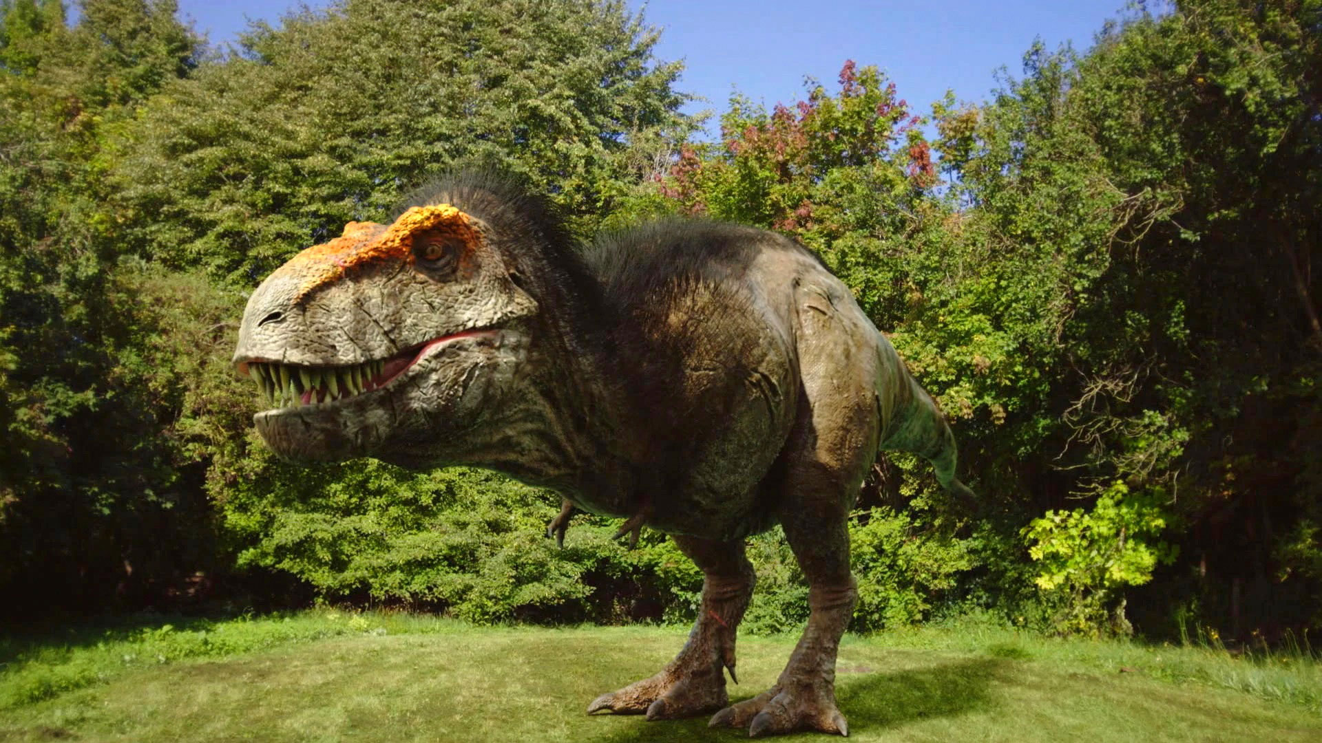 සැබෑ T Rex | eLearning.lk :: Blog – Science, Philosophy, Social ...
